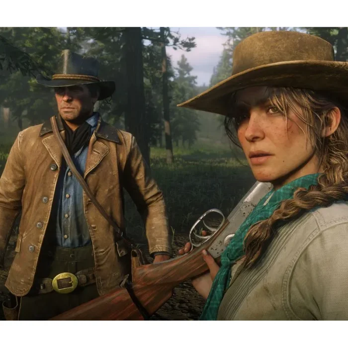 Red Dead Redemption 2 PS4 Game | GrandHub Technologies Ltd